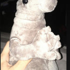 Fluffy Wosh® | The Official Wosh Plush Store